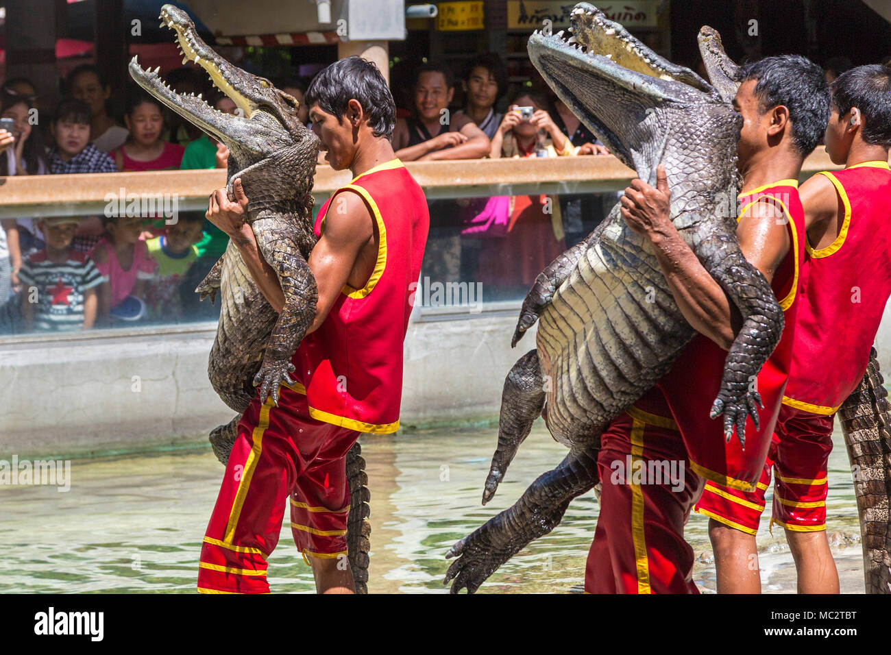 Crocodile Show at Samutprakarn Crocodile Farm and Zoo, Bangkok ...