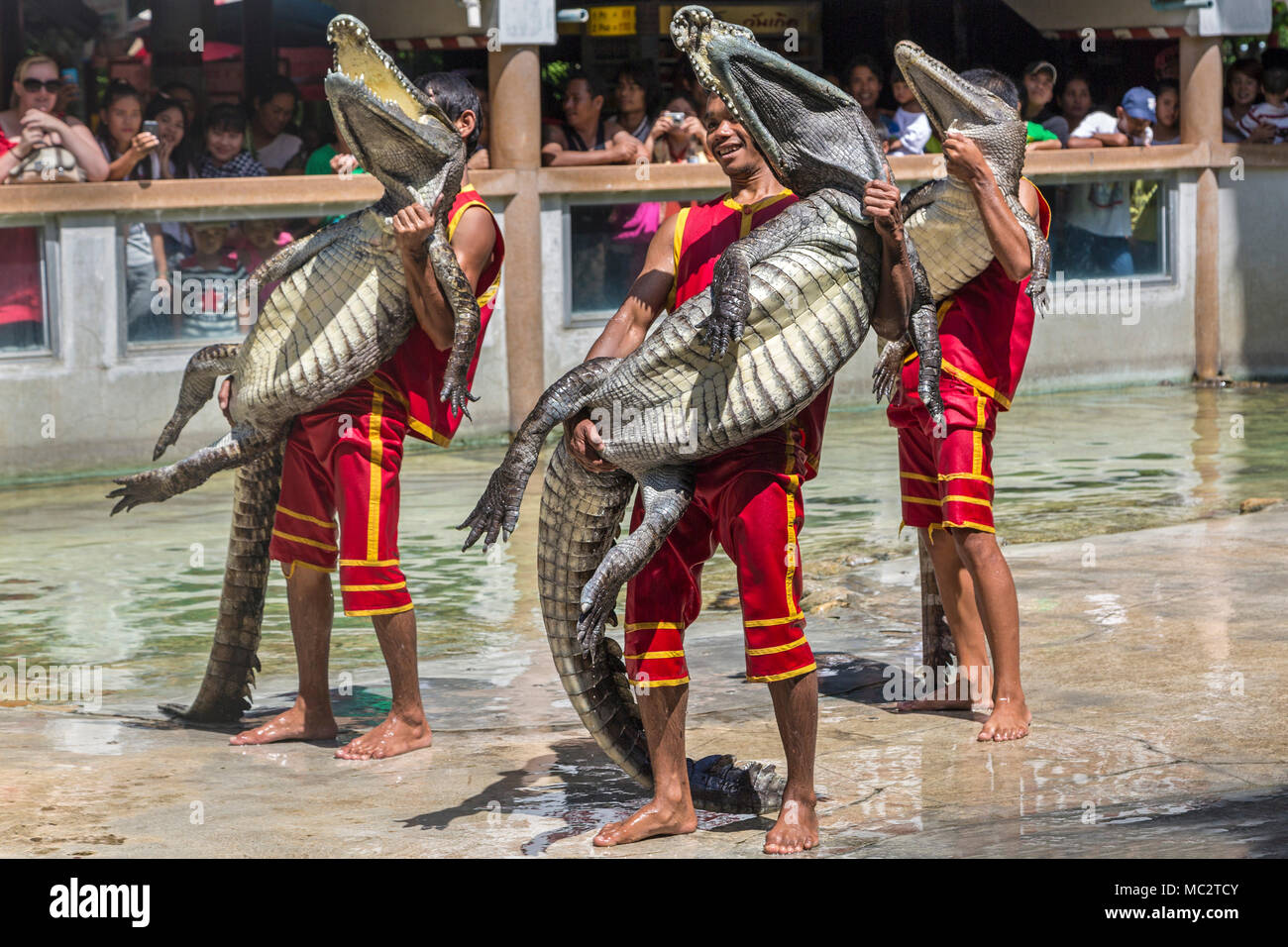 Crocodile Show at Samutprakarn Crocodile Farm and Zoo, Bangkok ...