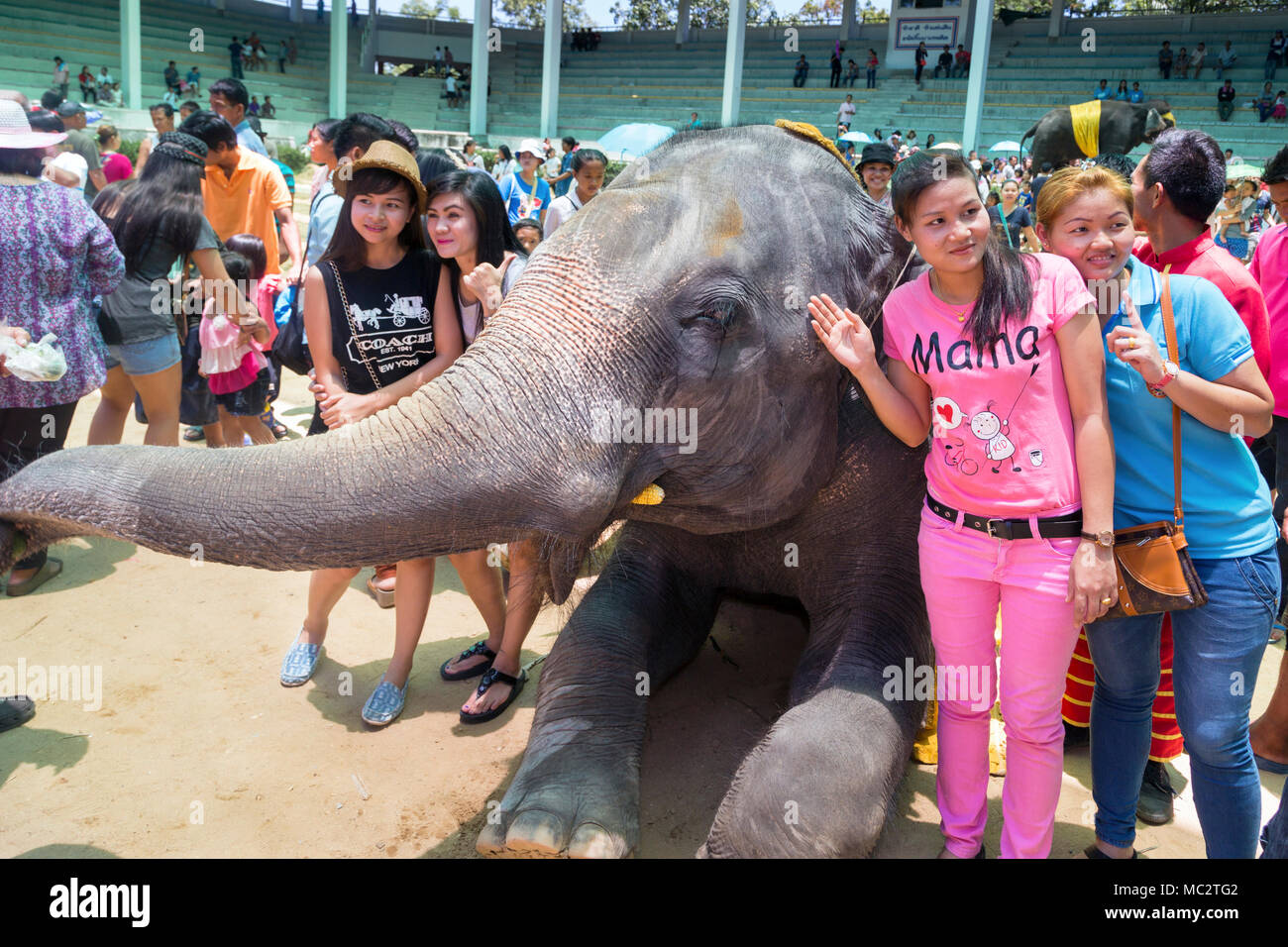 Elephant Show at Samutprakarn Crocodile Farm and Zoo, Bangkok, Thailand ...