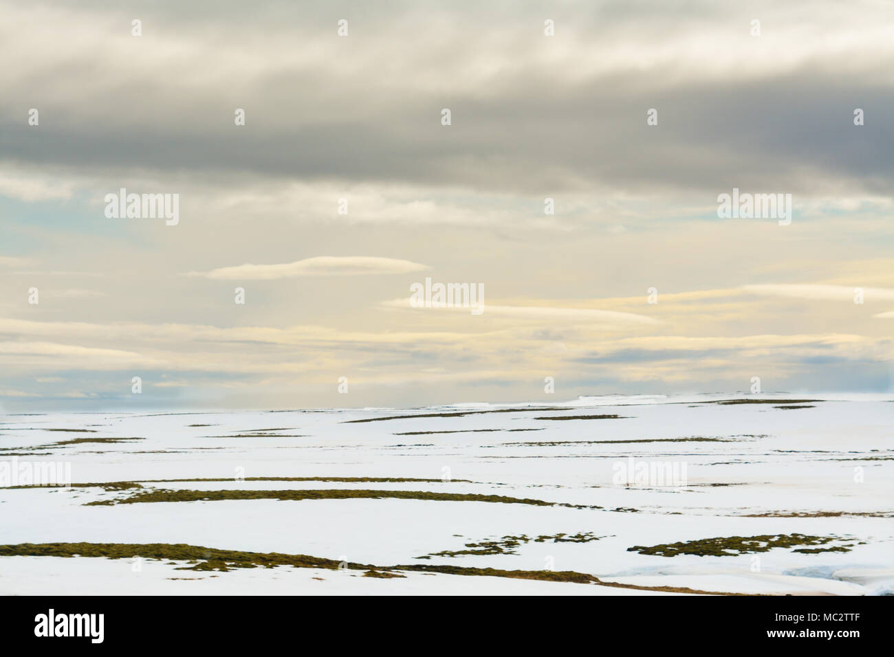Iceland primordial landscape Stock Photo - Alamy