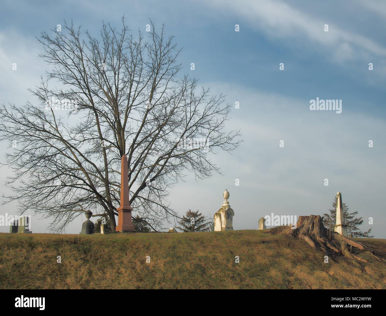 Quiet cemetary with tree stump and old monuments Stock Photo - Alamy