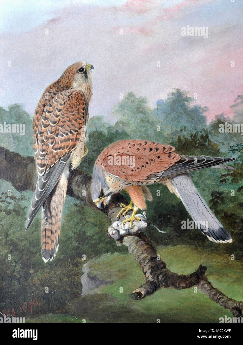 William Brodrick High Resolution Stock Photography and Images - Alamy