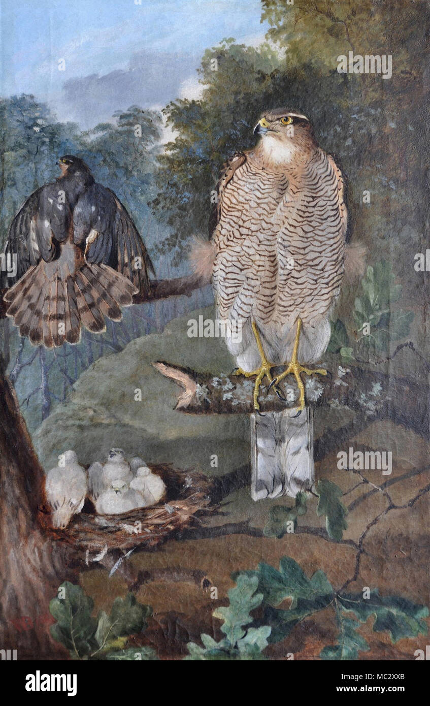 William brodrick hi-res stock photography and images - Alamy