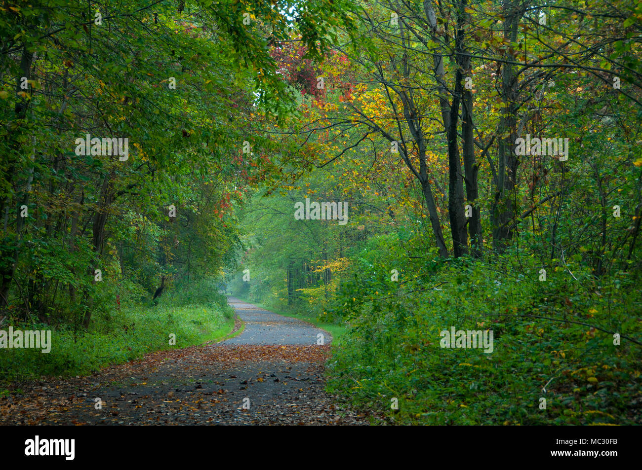 Farmington Canal Heritage Trail, Farmington Canal Greenway, Connecticut ...