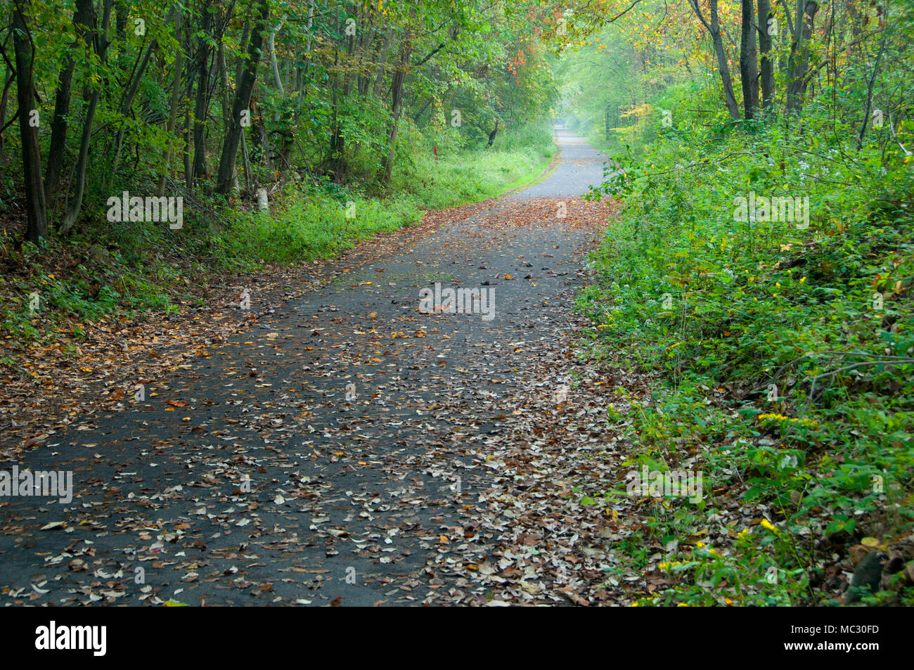 Farmington Canal Heritage Trail, Farmington Canal Greenway, Connecticut ...
