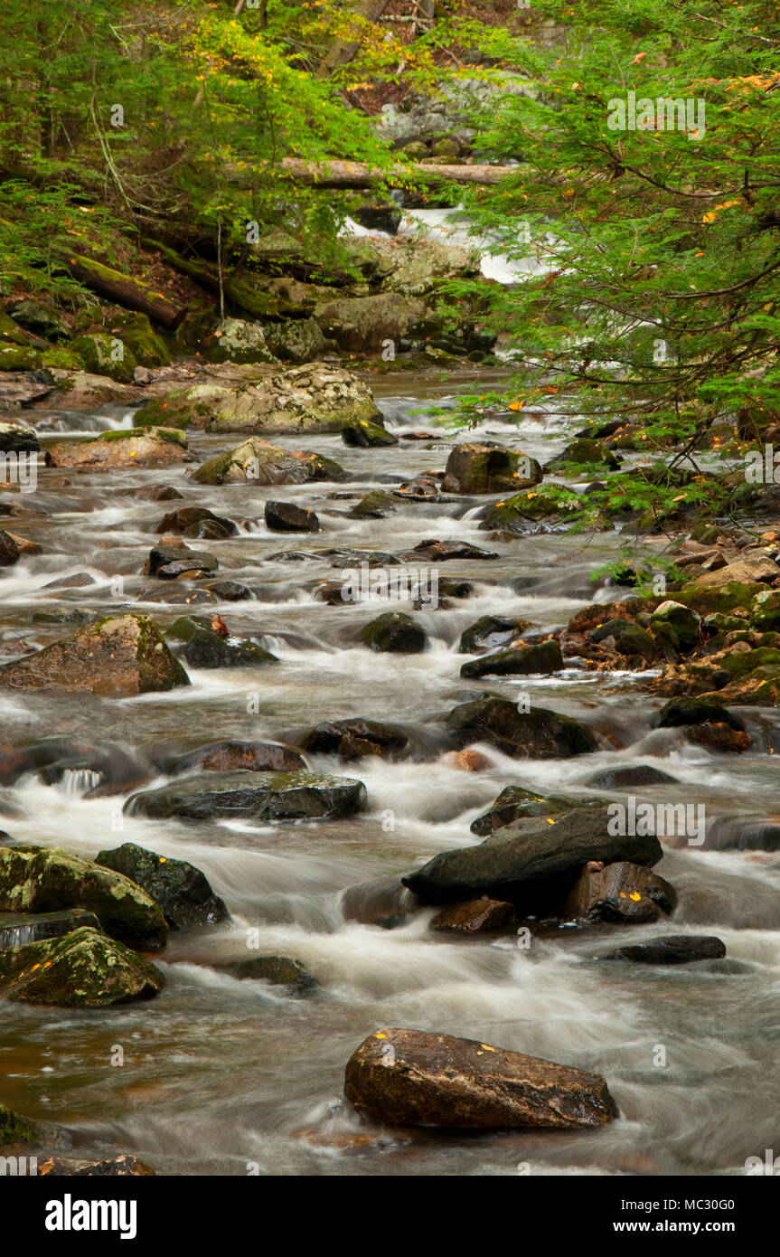 Kettletown Brook, Kettletown State Park, Connecticut Stock Photo - Alamy