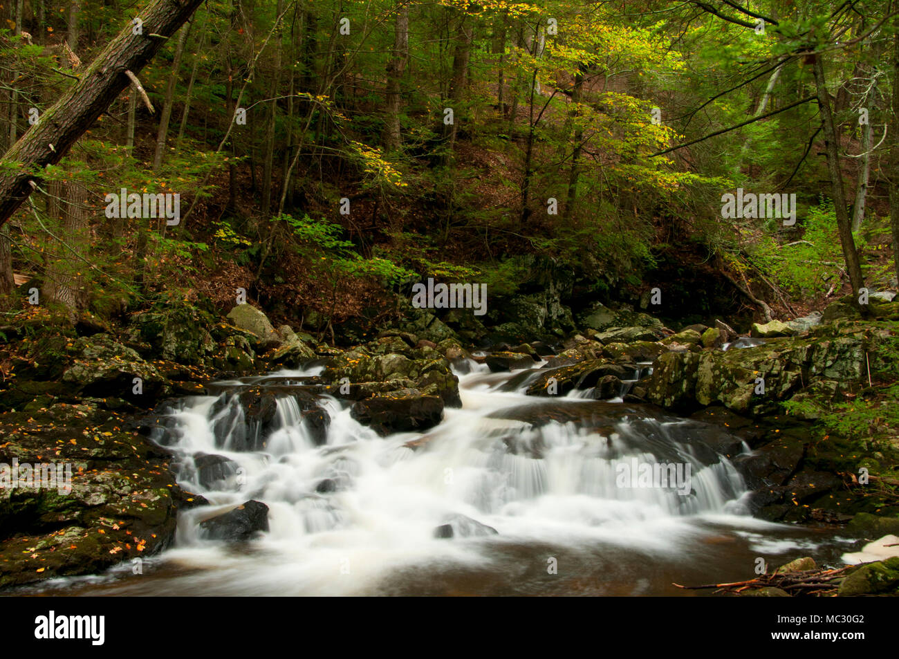 Kettletown Brook, Kettletown State Park, Connecticut Stock Photo - Alamy
