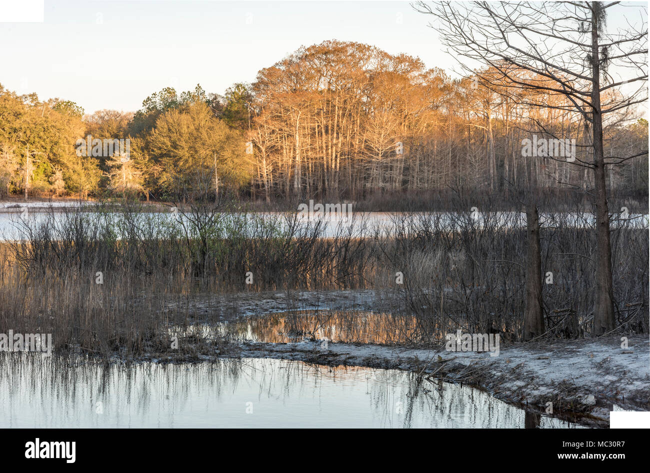 Indian lake hi-res stock photography and images - Alamy