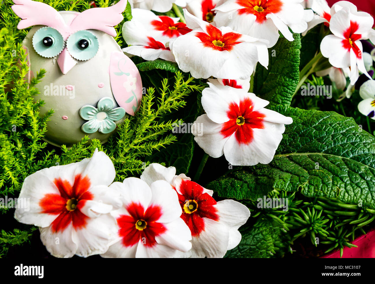 Colorful spring flower arrangement Stock Photo - Alamy
