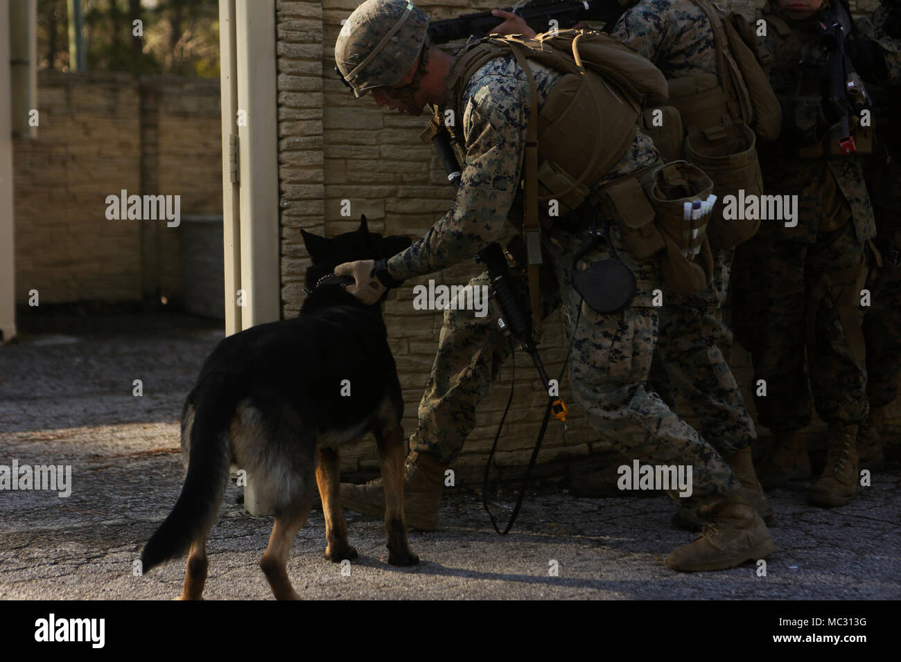 Marine Corps Dog Handler NAS Oceana Military Working Dog Misa Retires