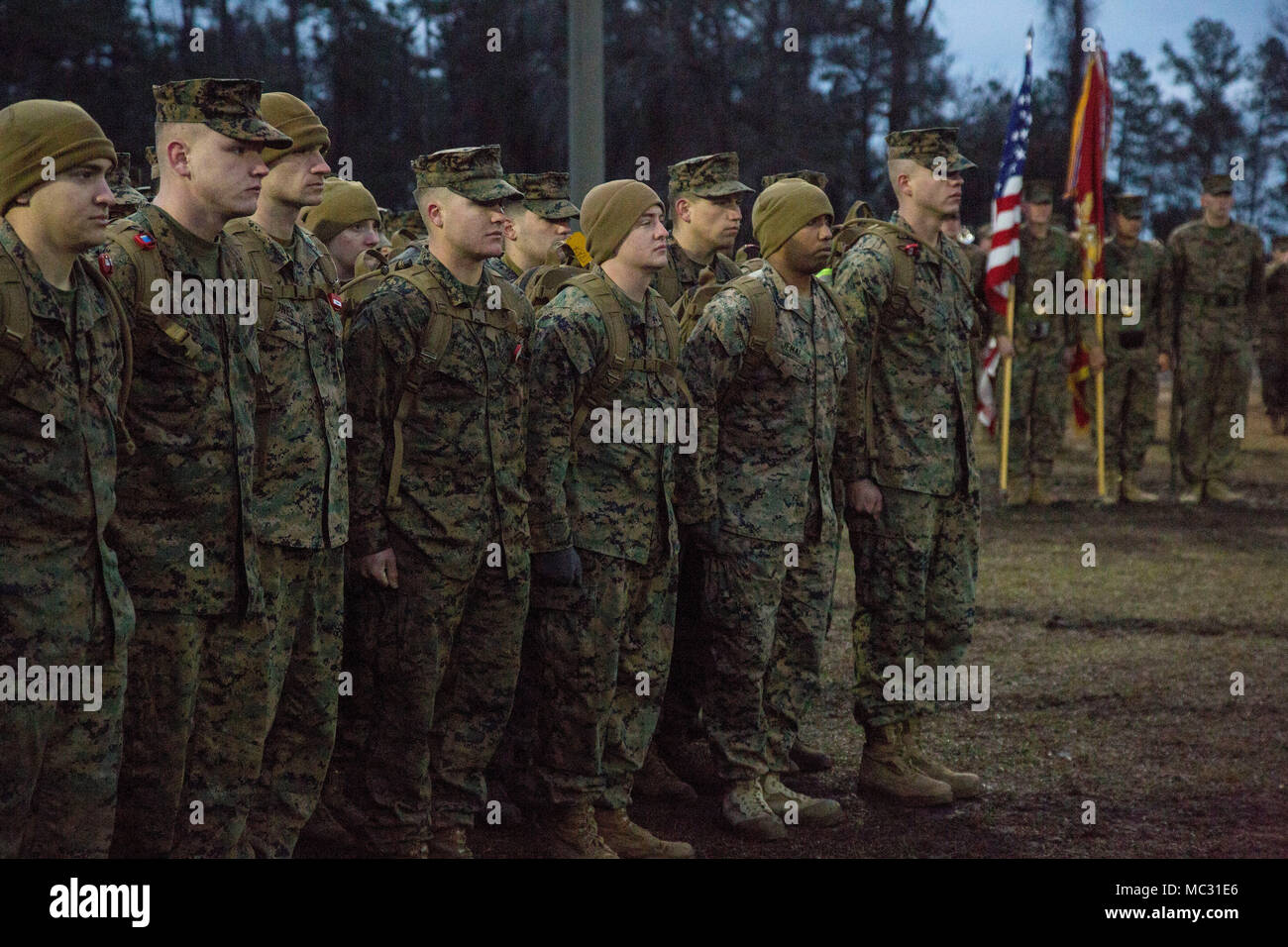 U.S. Marines with 2nd Marine Division (2d MARDIV) stand at attention ...