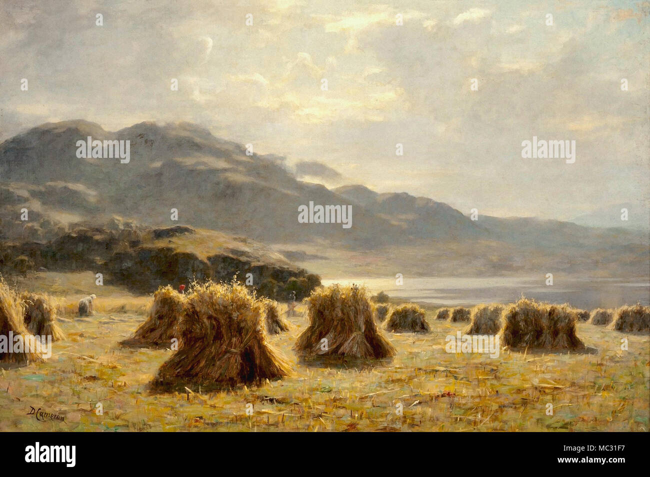 Cameron Duncan - a Highland Harvest Stock Photo - Alamy