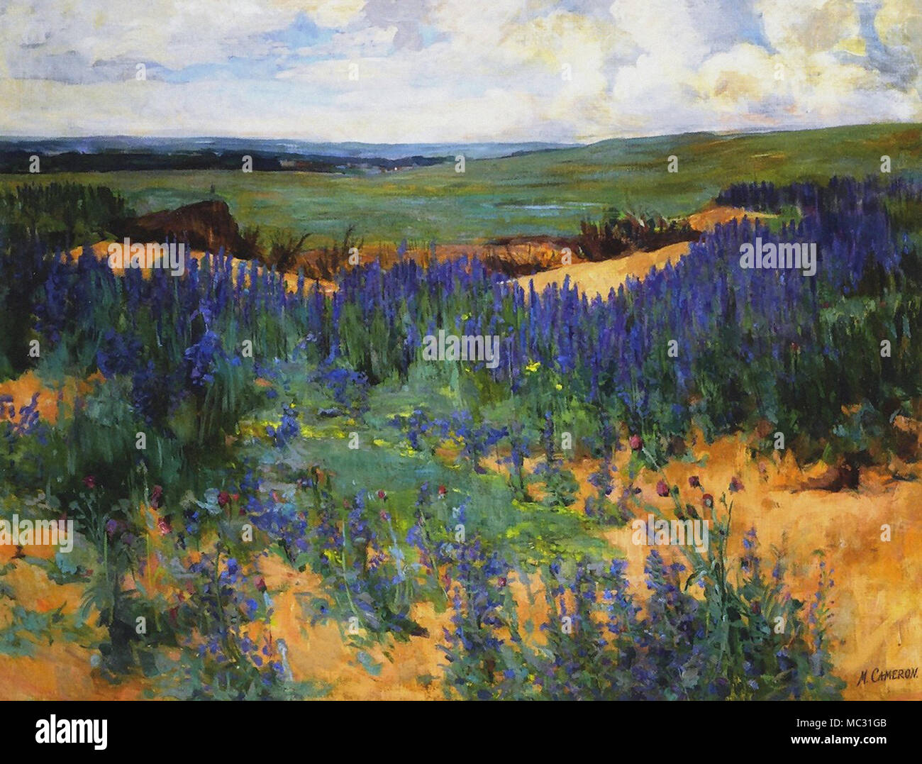 Cameron Mary - Gullane Golf Course Stock Photo - Alamy