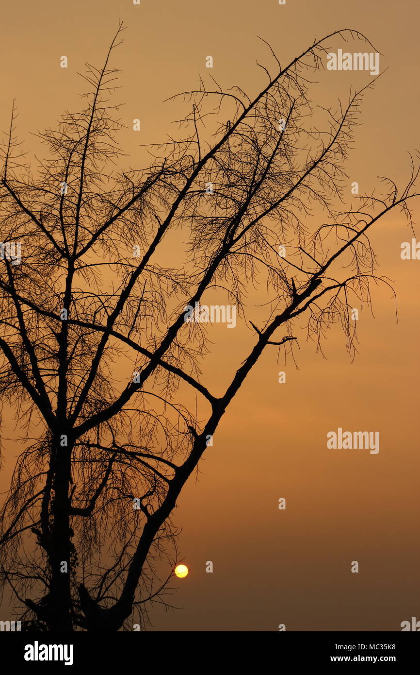 Falling Behind Stock Photos & Falling Behind Stock Images - Alamy