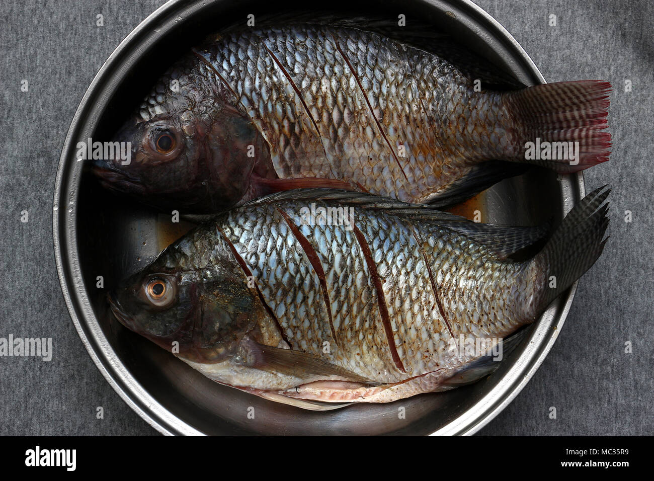 Prepare two tilapia fish on stainless casserole for frying Stock Photo ...
