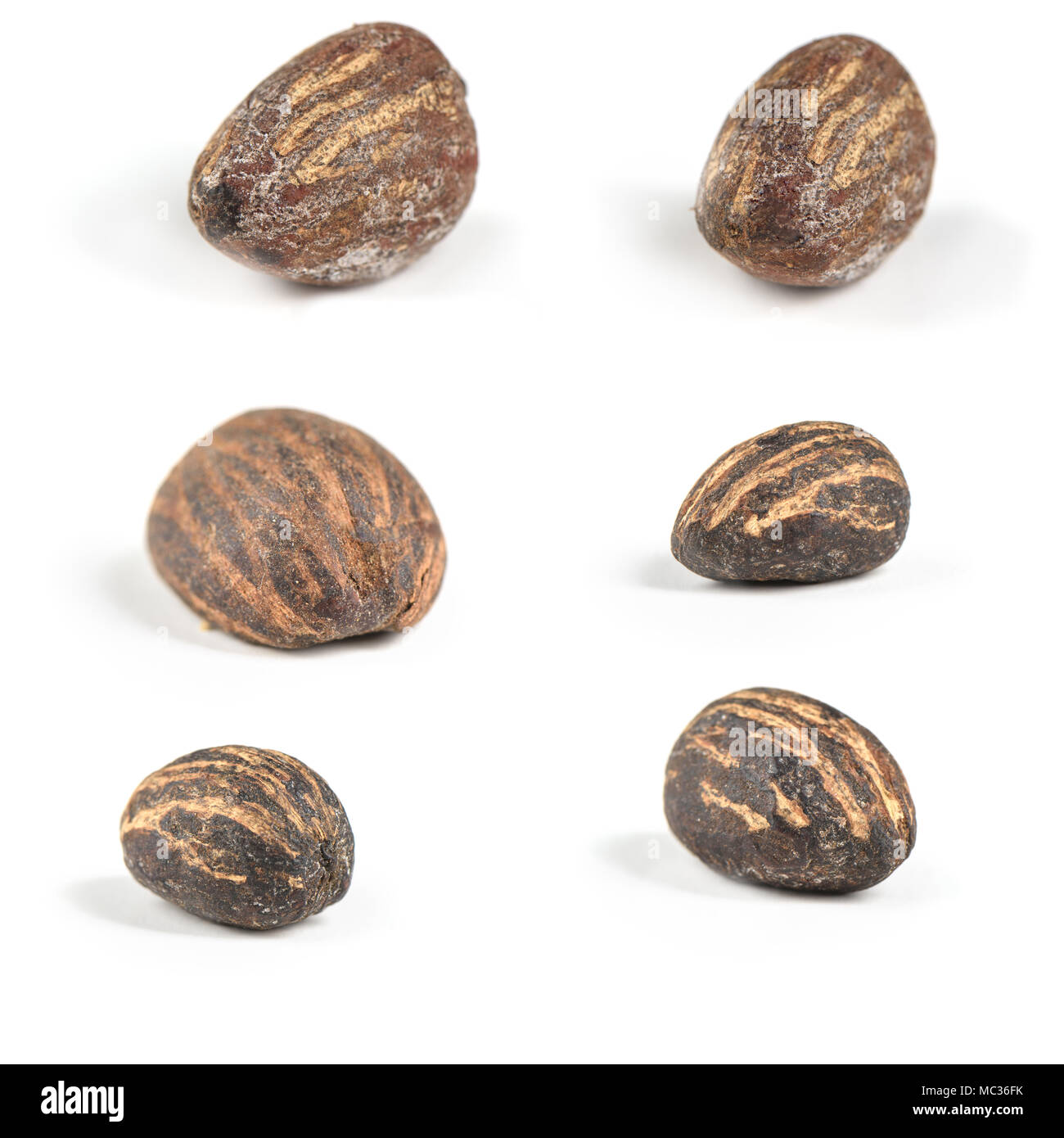 Shea Fruit High Resolution Stock Photography and Images - Alamy