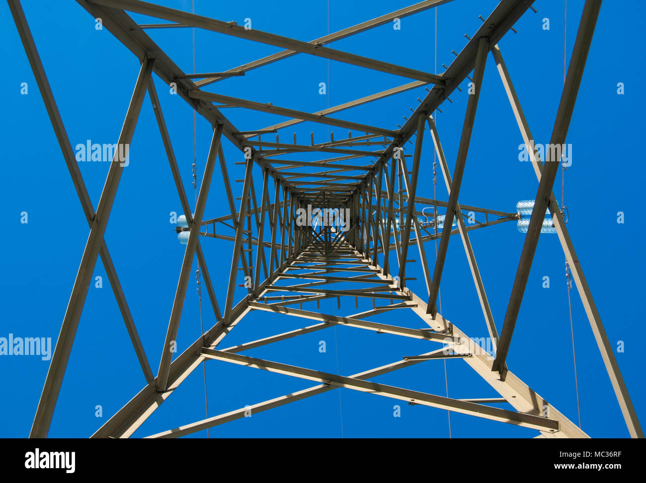 Trellis wires hi-res stock photography and images - Alamy