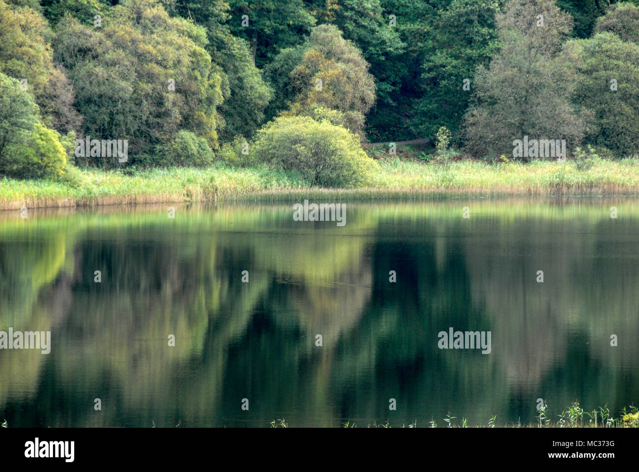 In the valley of two lakes in the Wicklow mountains national park in ...