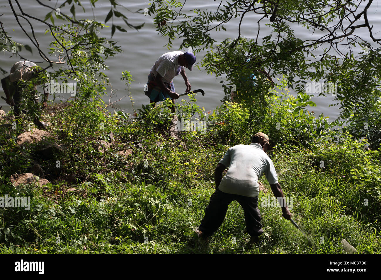 Kala tank hi-res stock photography and images - Alamy