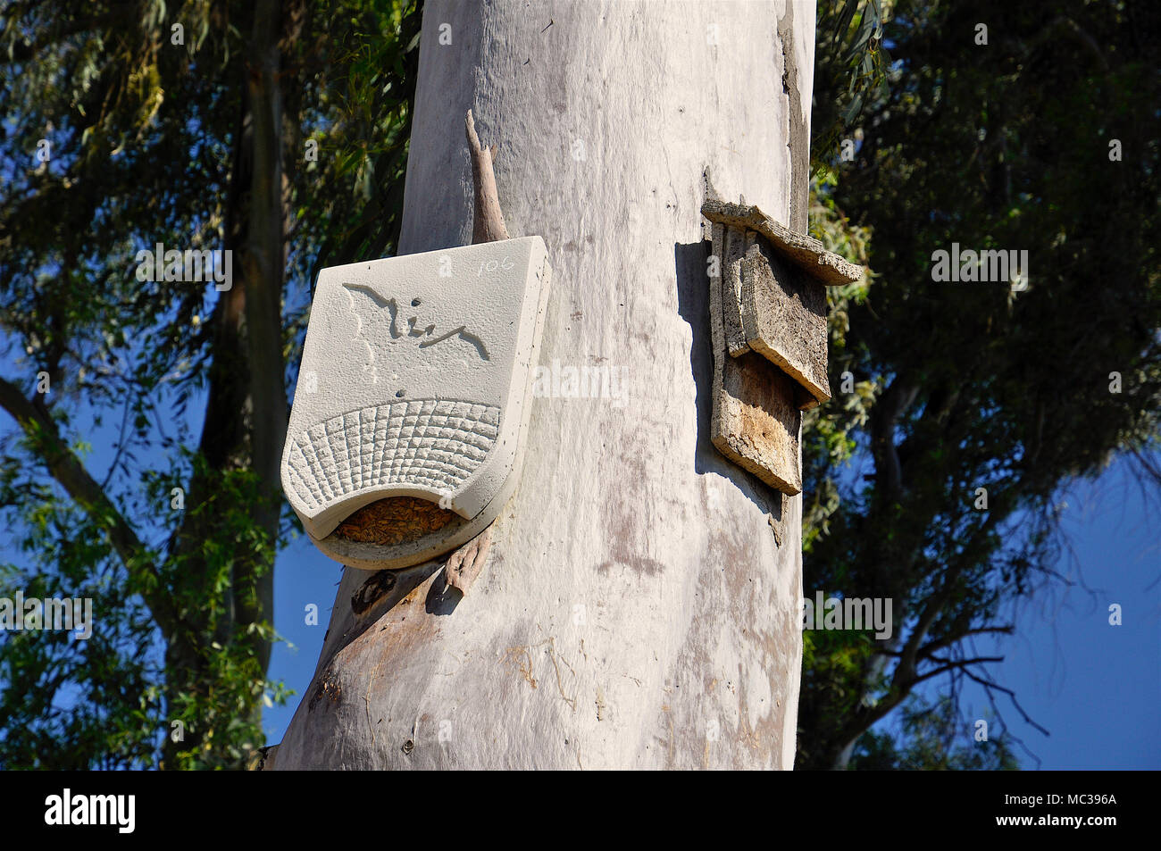 Schwegler bat box next to an artisan cork peel bat box hanging from an ...