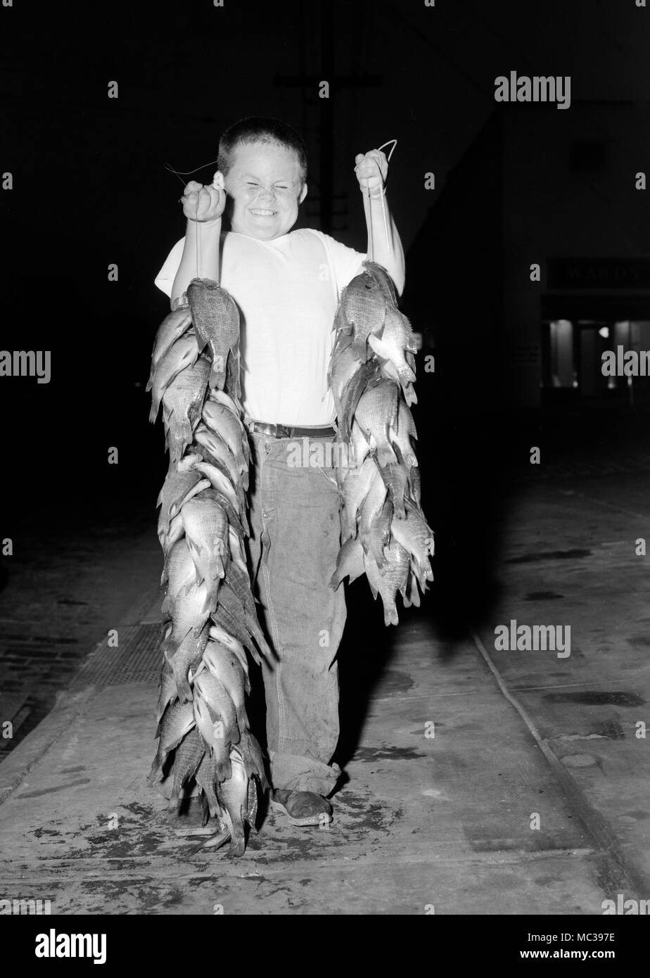 Panfish hi-res stock photography and images - Alamy