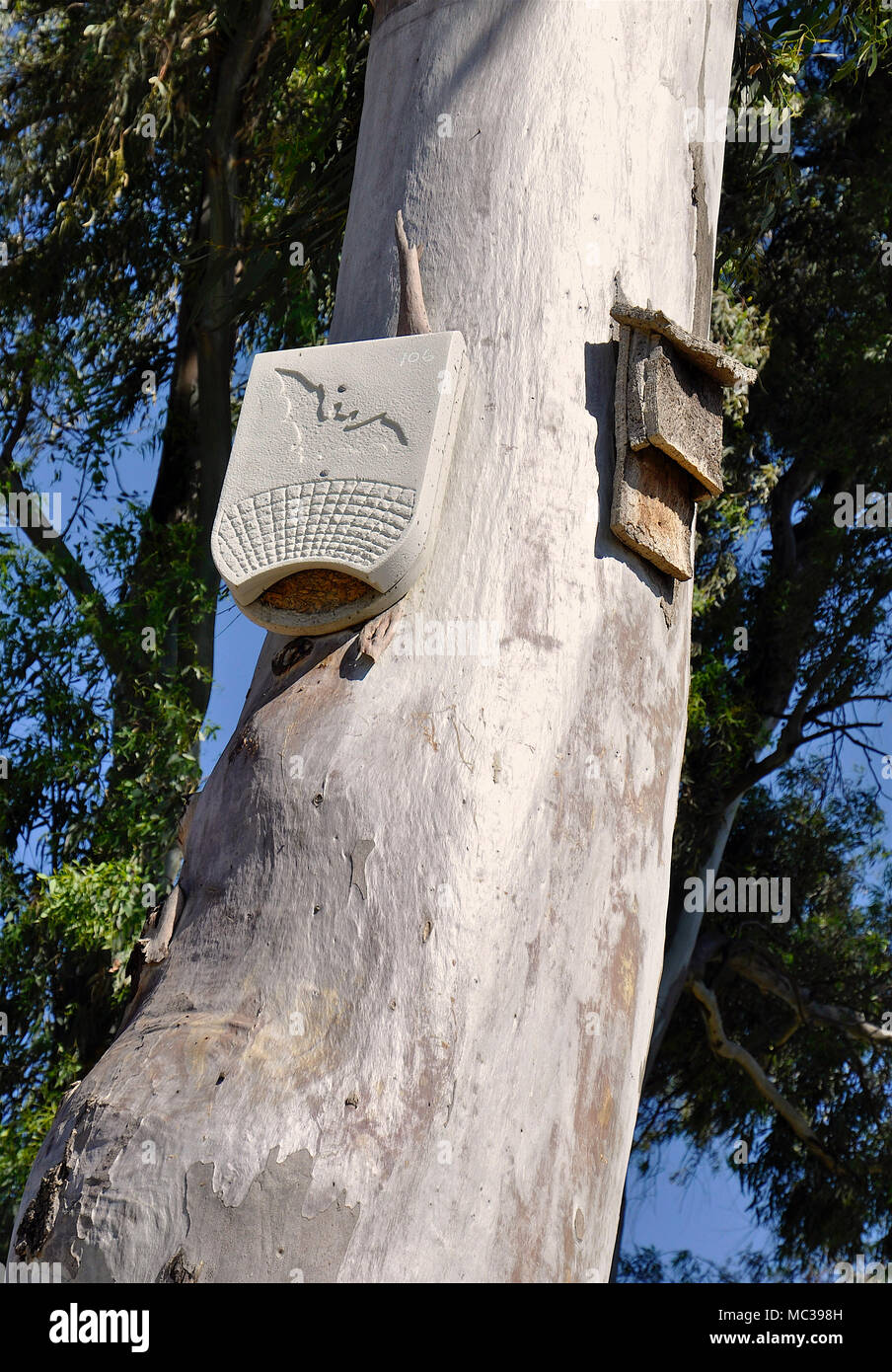 Schwegler bat box next to an artisan cork peel bat box hanging from an ...