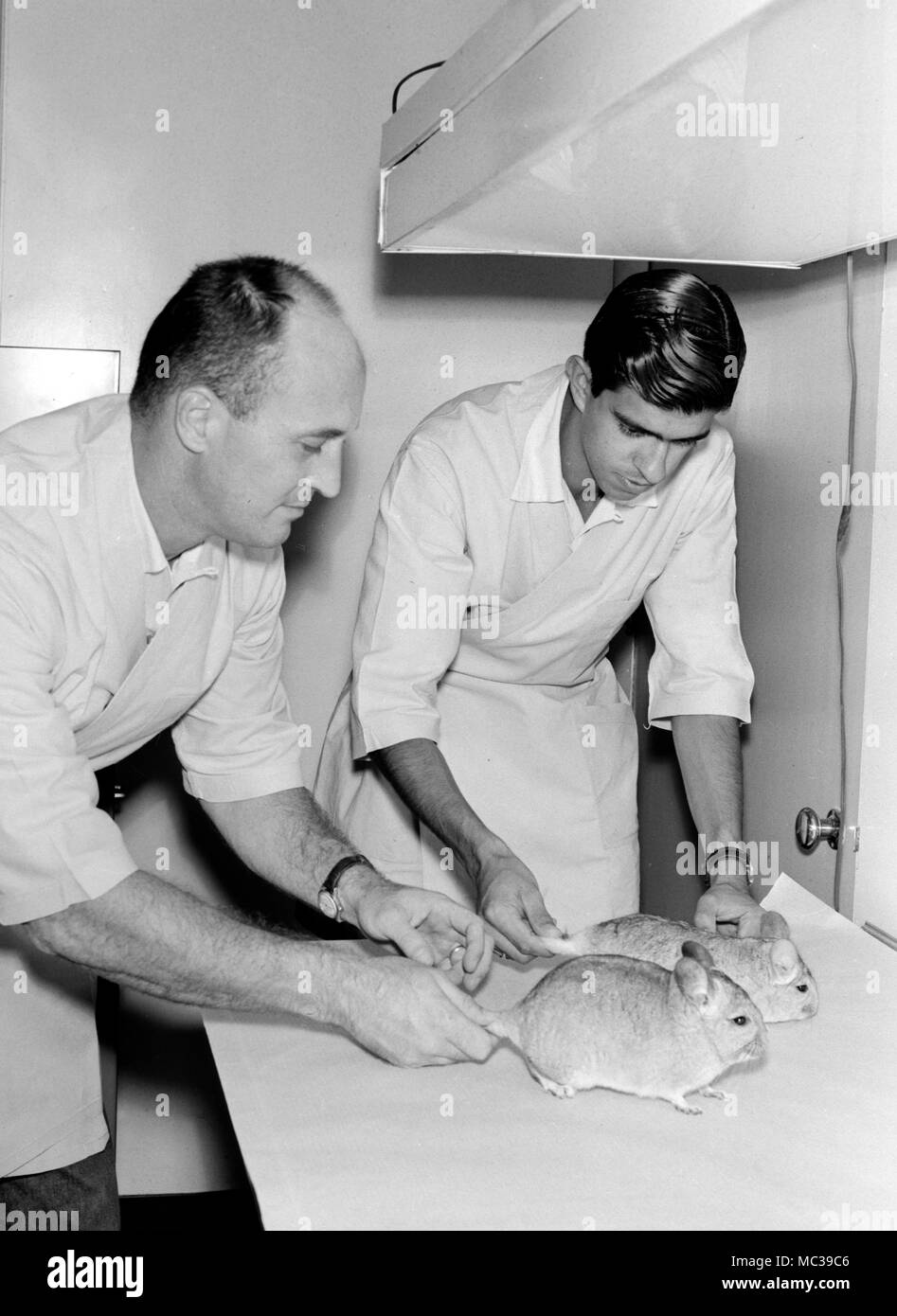 1950s american factory workers hi-res stock photography and images - Alamy