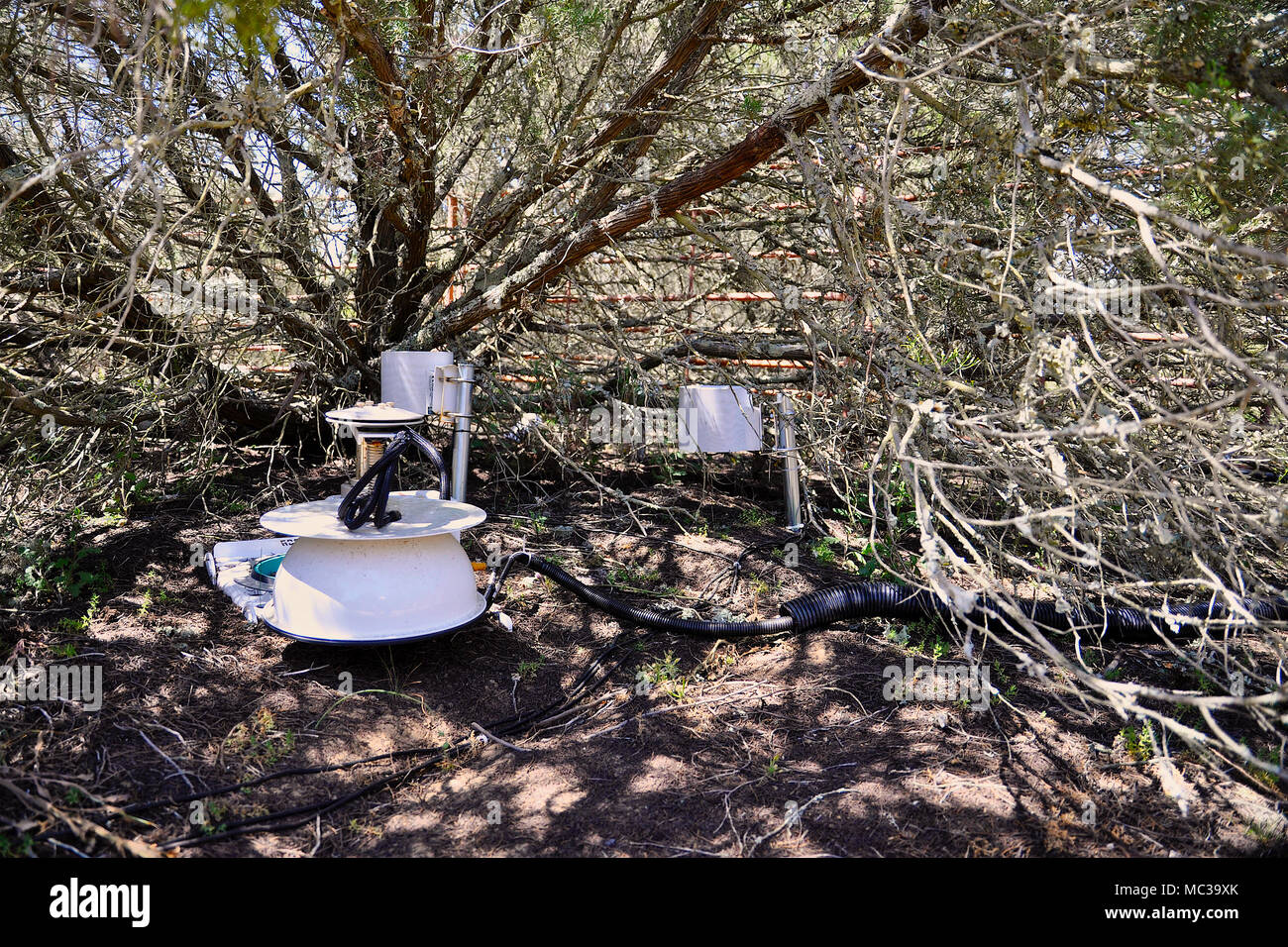 Li cor 8100 hi-res stock photography and images - Alamy