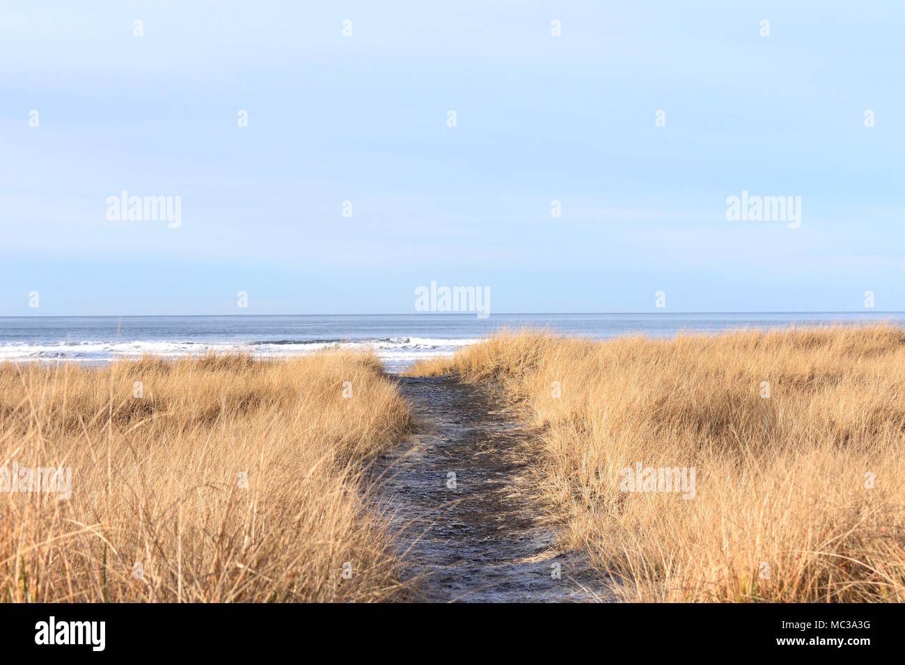 Pathway the beach hi-res stock photography and images - Alamy