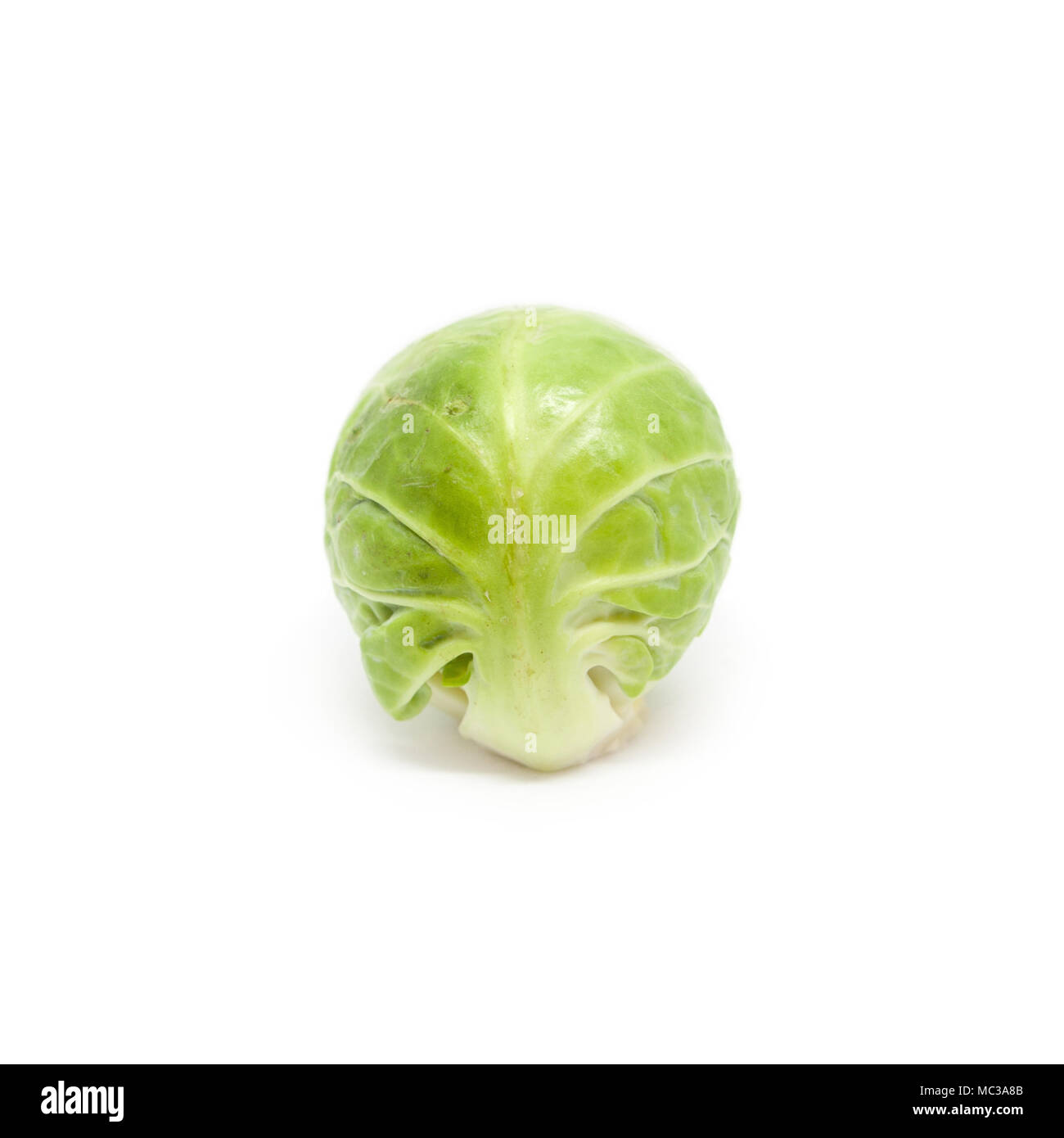 A Peeled Brussels Sprout isolated on white background Stock Photo - Alamy
