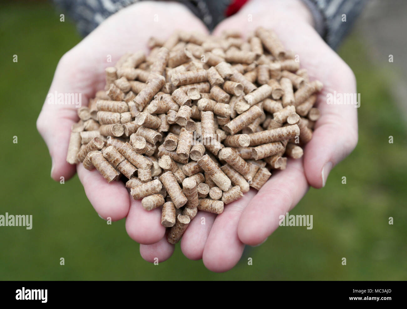Chip foster hi-res stock photography and images - Alamy