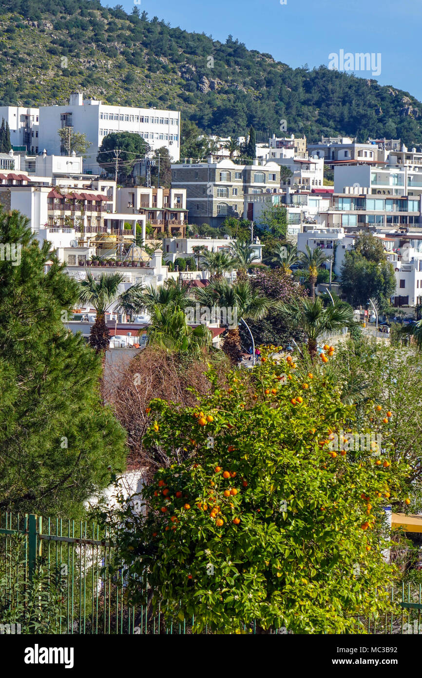 Sea front at Bodrum, Mugla, Turkey Stock Photo - Alamy