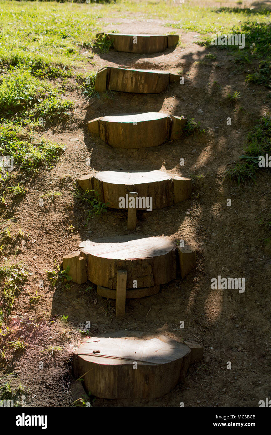 Picture of a wooden stairs made from tree trunks Stock Photo - Alamy