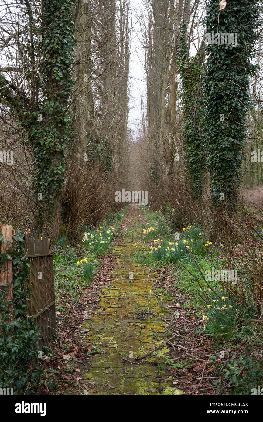 Hartfield england hi-res stock photography and images - Alamy