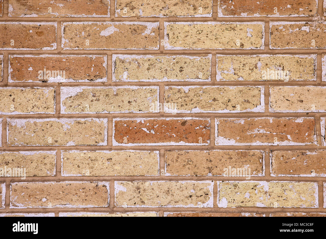 Brick wall from brown clay brick with white efflorescence, texture for ...