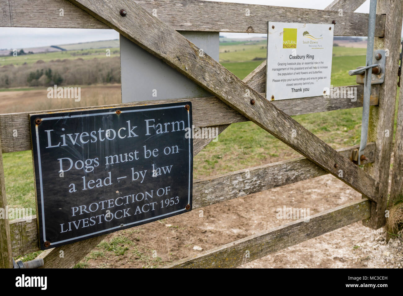 Livestock Farm sign at Cissbury Ring, West Sussex, England, UK Stock ...