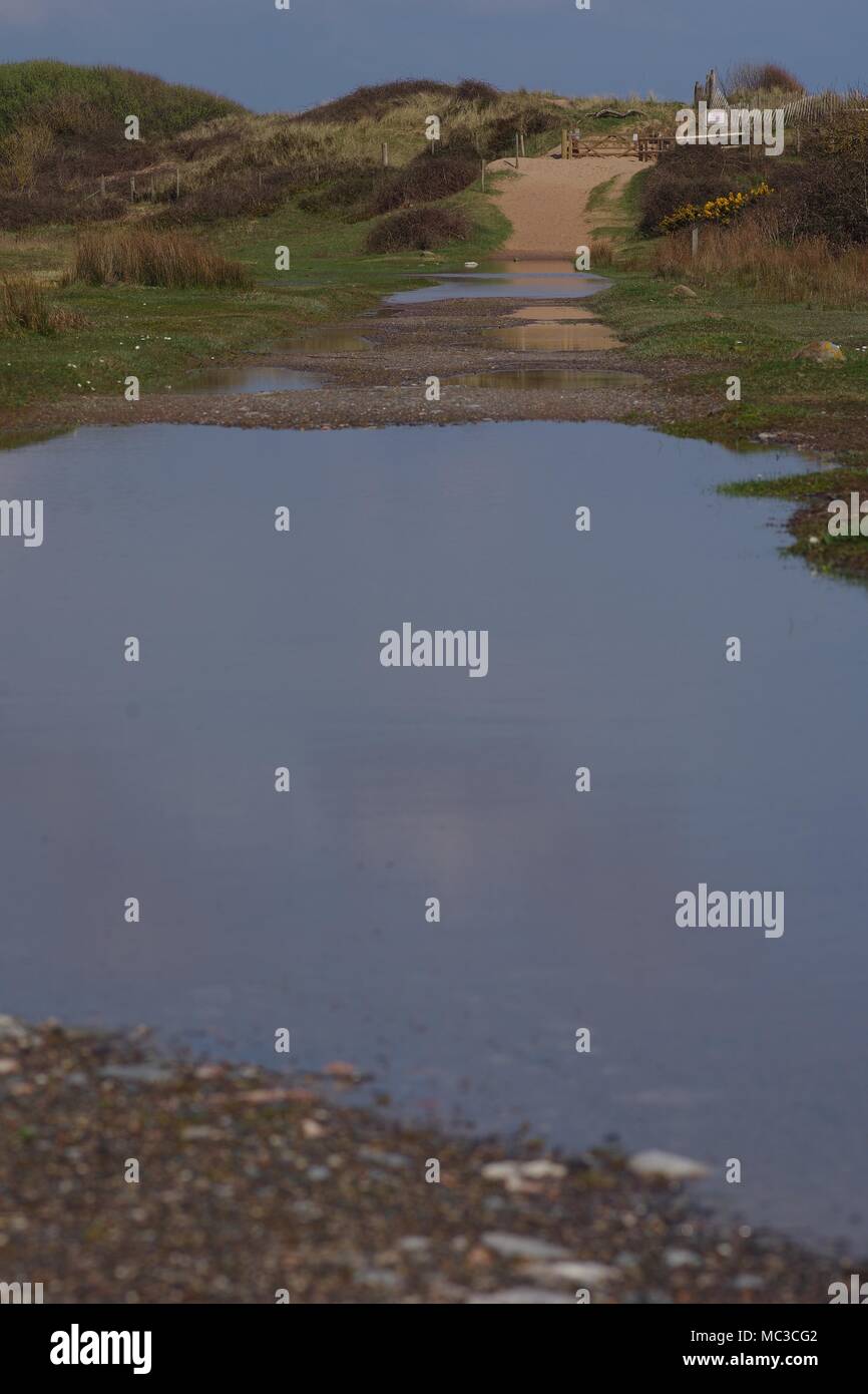 Flooded Trackway Through a Dune Slack at Dawlish Warren Nature Reserve ...