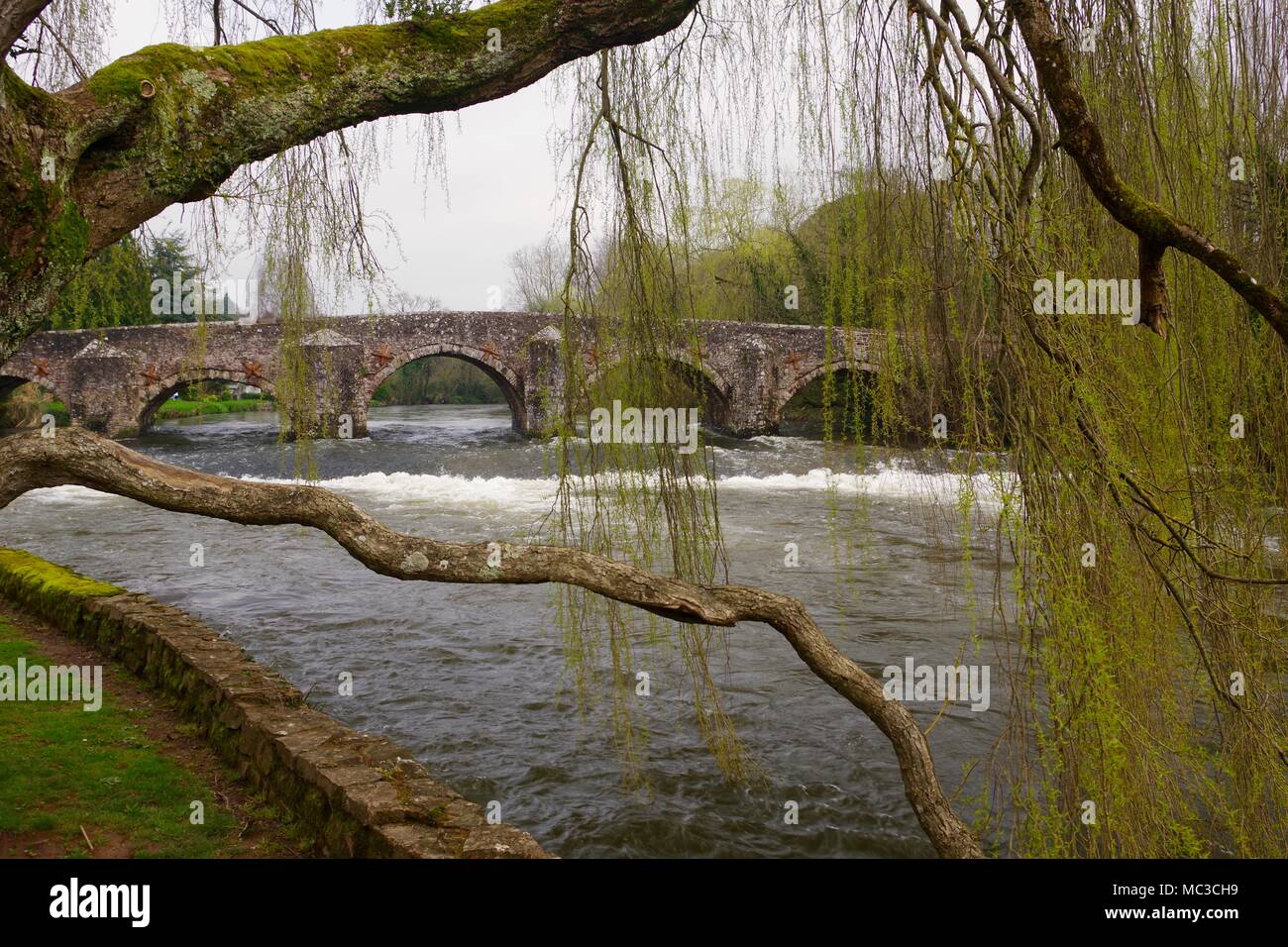 Bickleigh Bridge over the River Exe, Tiverton, Mid Devon, UK Stock ...