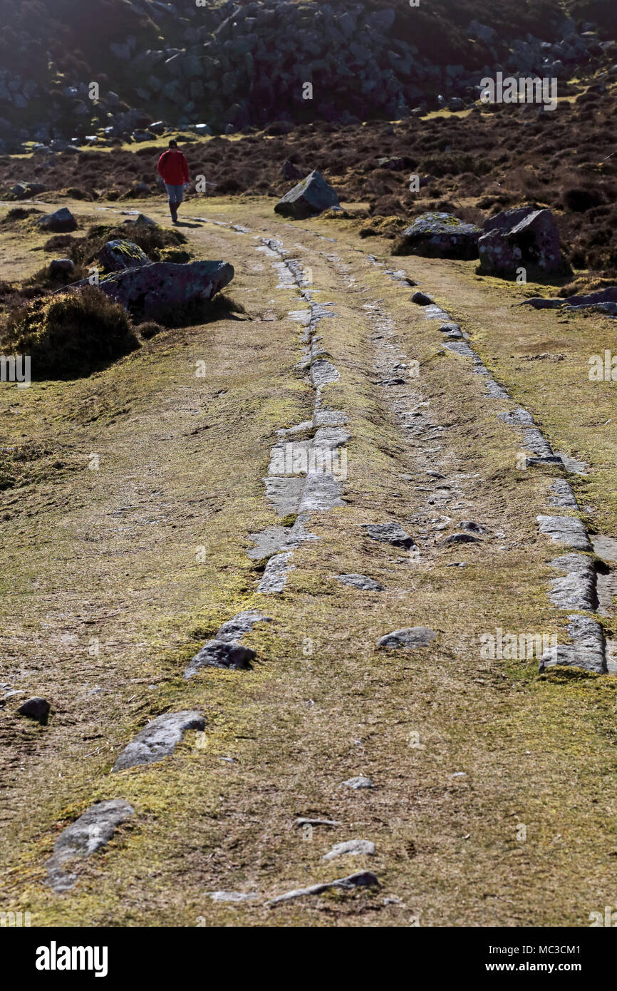 Remains of Haytor granite tramway, Dartmoor National Park, Devon, UK ...