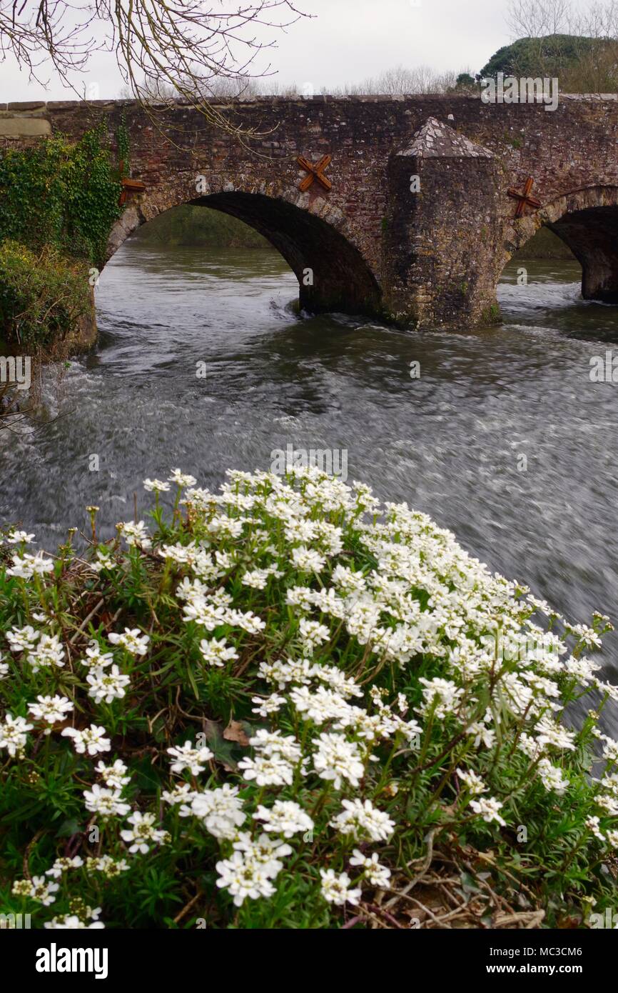 Bickleigh bridge river exe devon hi-res stock photography and images ...