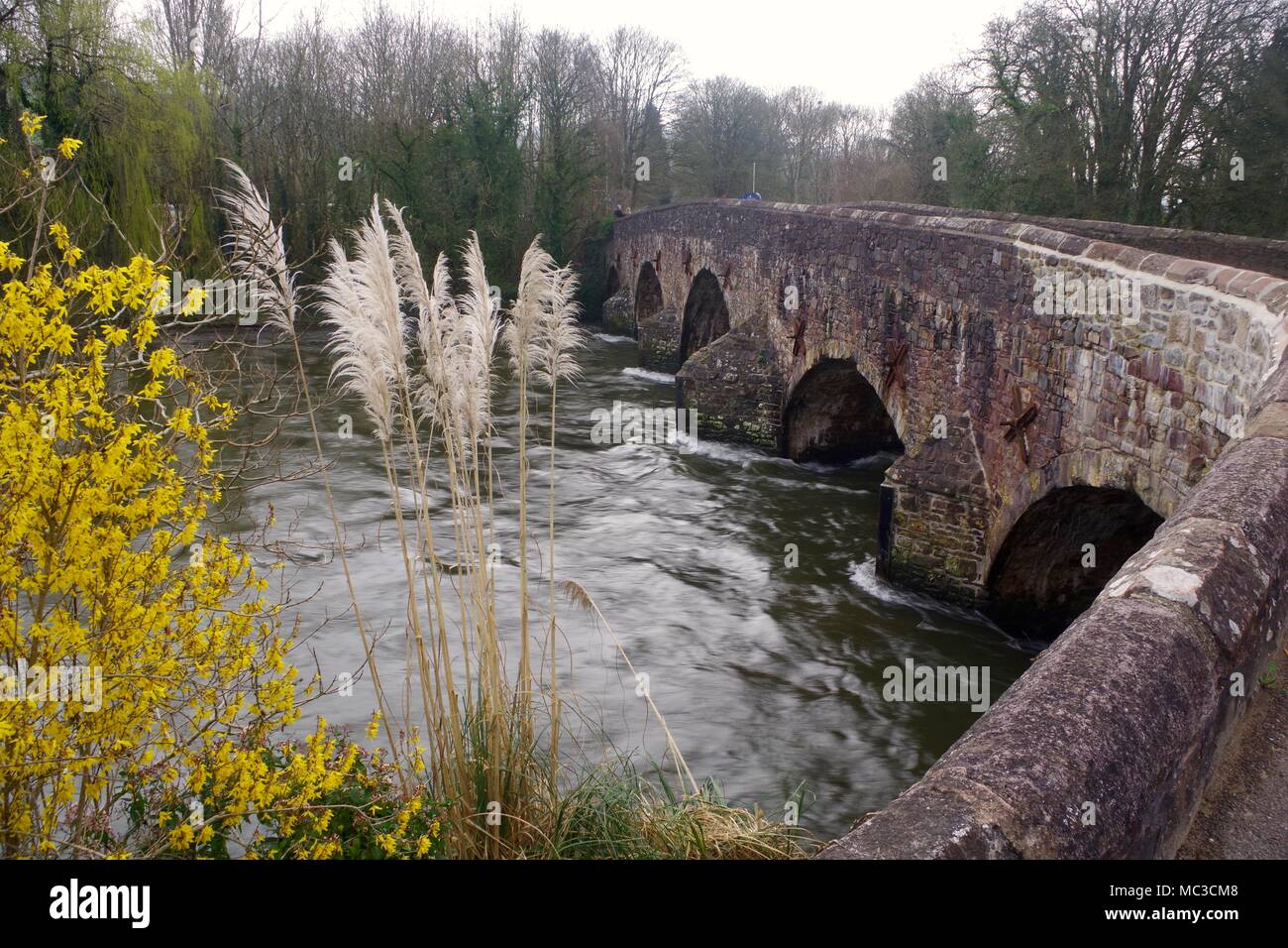 Bickleigh Devon River Exe High Resolution Stock Photography and Images ...