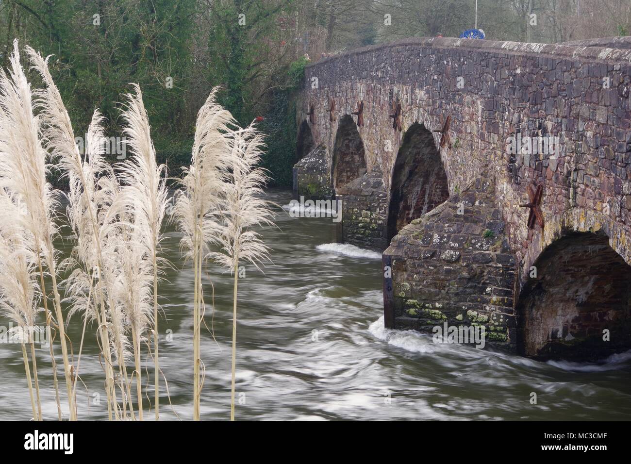 Bickleigh bridge river exe devon hi-res stock photography and images ...