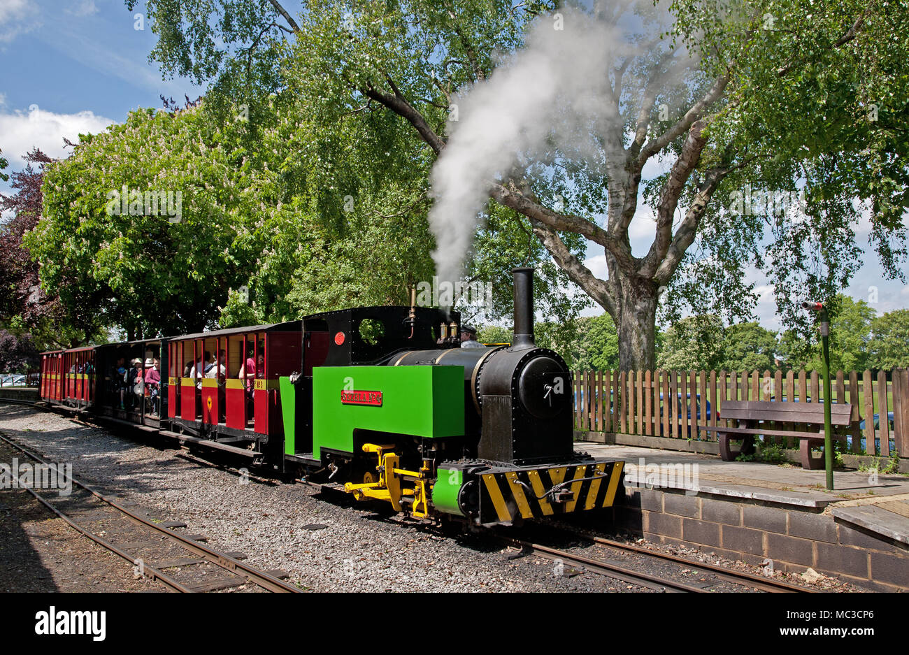 Former South African 0-4-0T Sezela no.4 waits at Pages Park station on ...