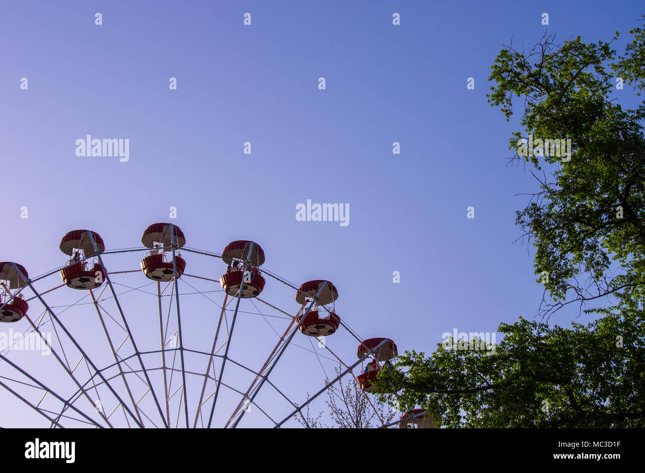 attractions in spring city Park - blooming flower and trees, bright ...