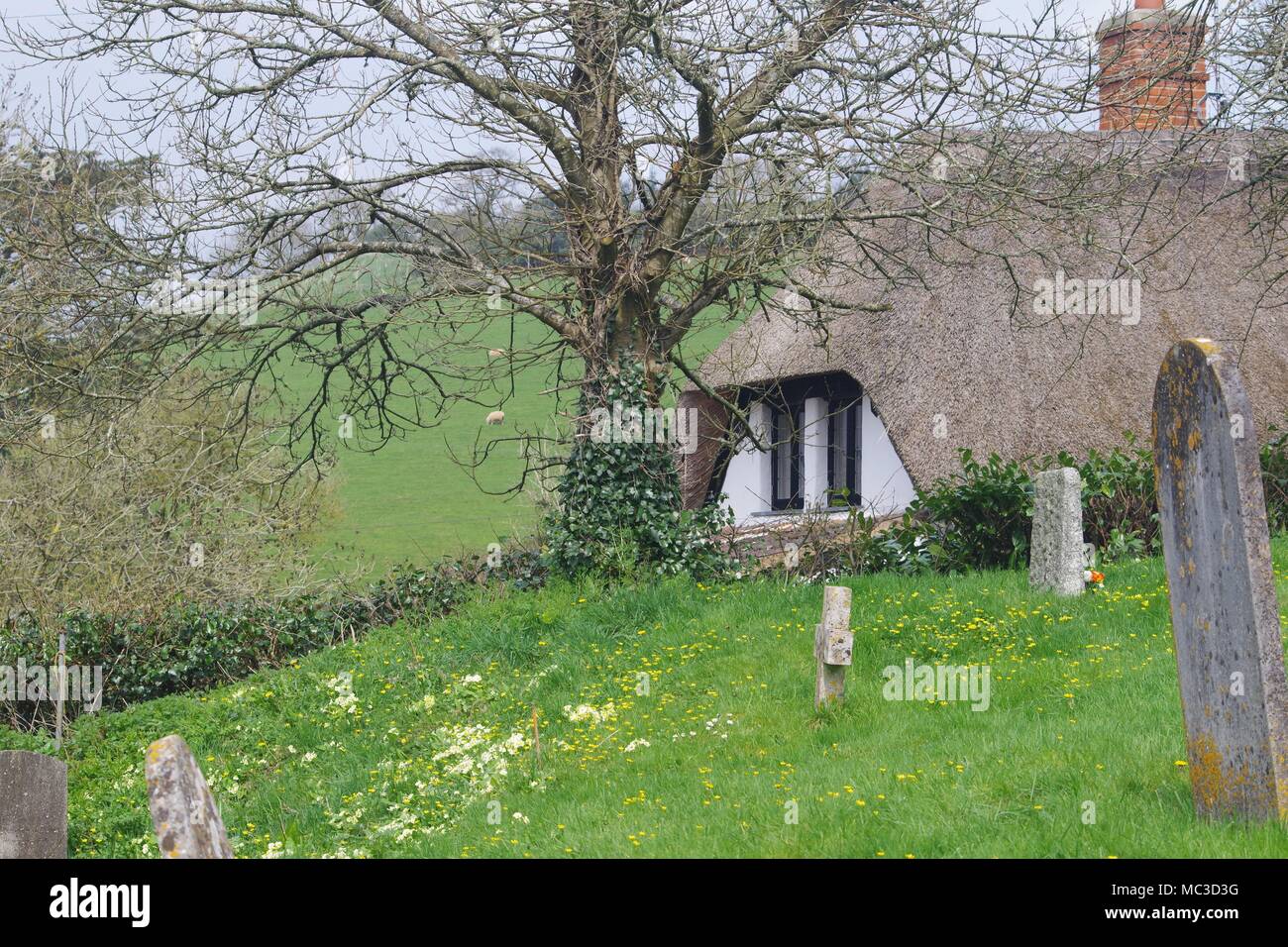 Headstones in an Old Country Graveyard by a Thatched Cottage. St Mary ...