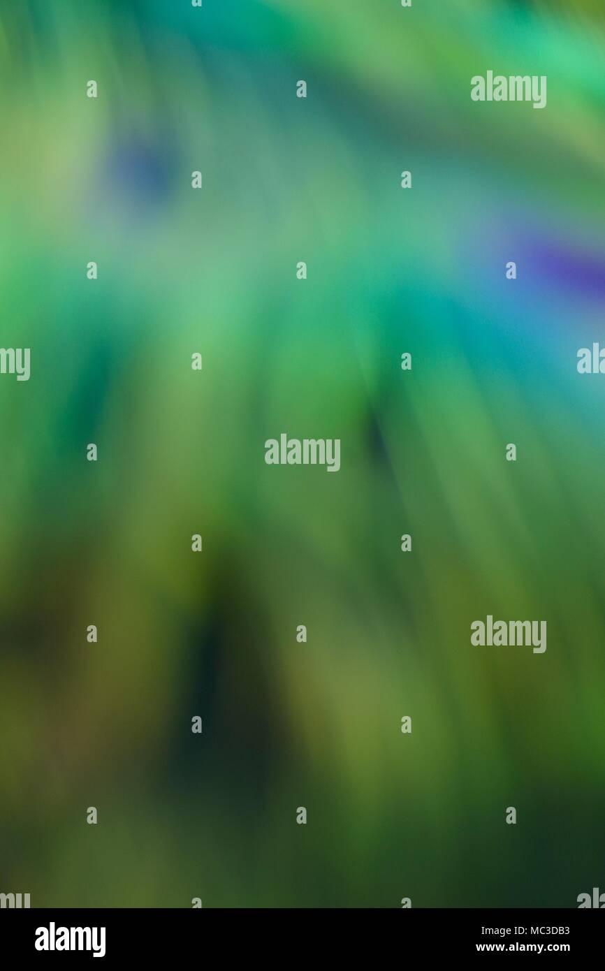 Greeny Blue High Resolution Stock Photography and Images - Alamy