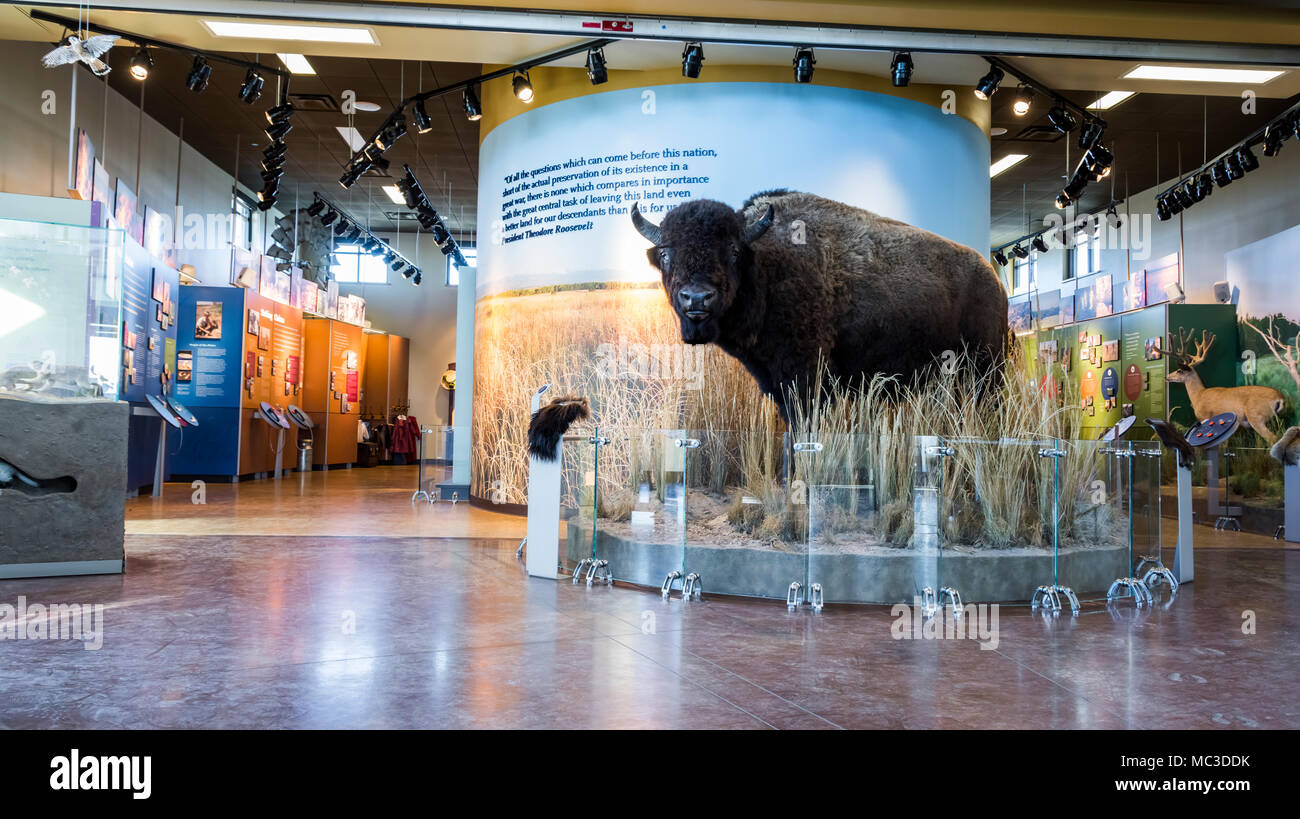 Rocky mountain museum hi-res stock photography and images - Alamy