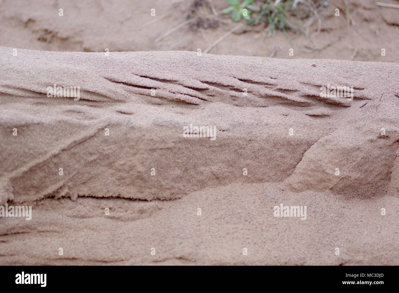 Small Sand Ripple Cross Bedding. Sedimentary Structure in Dune Cross ...