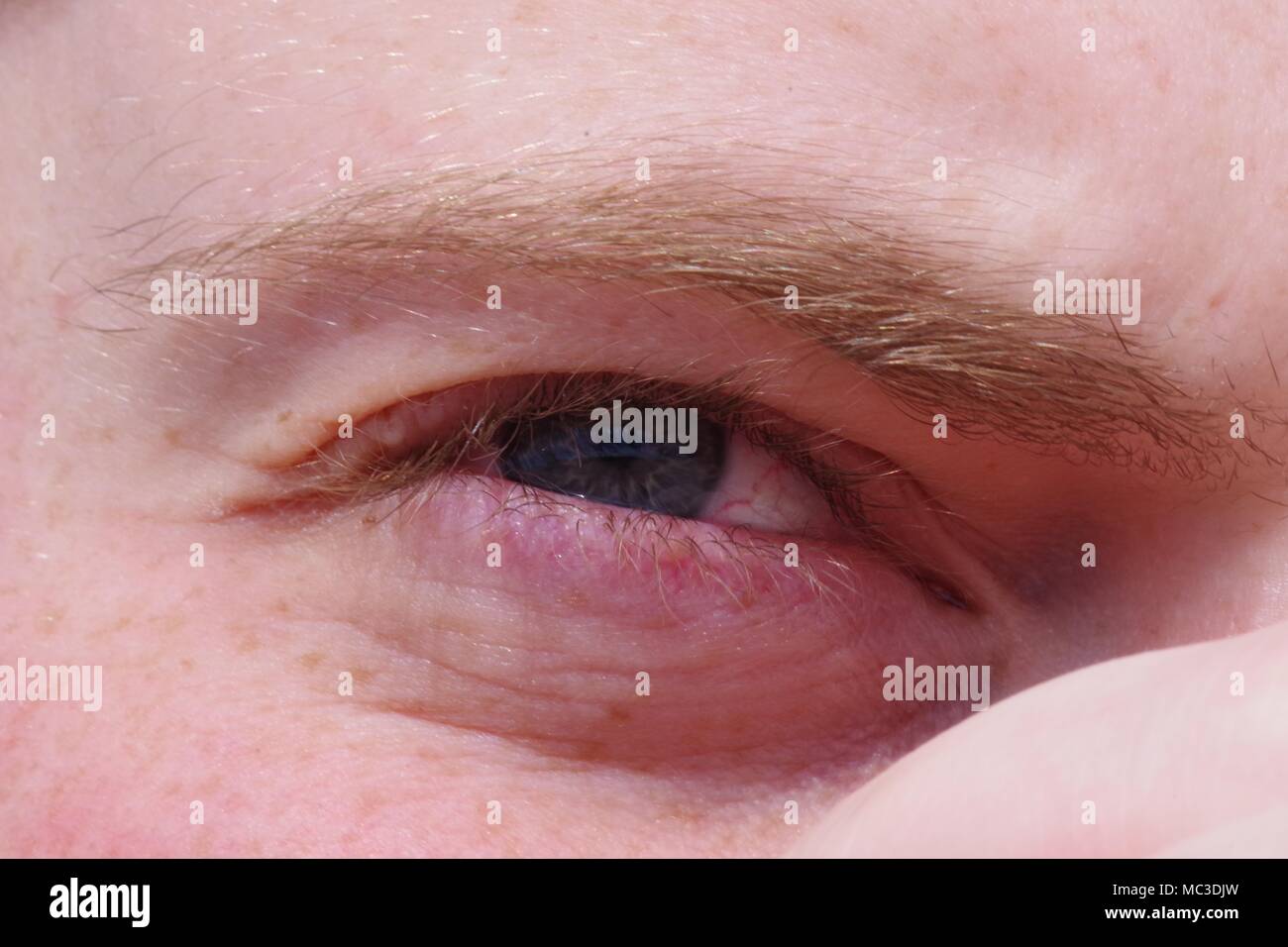 Macro Photo of Blue Human Eye, on a British Caucasian Male. Organ of ...
