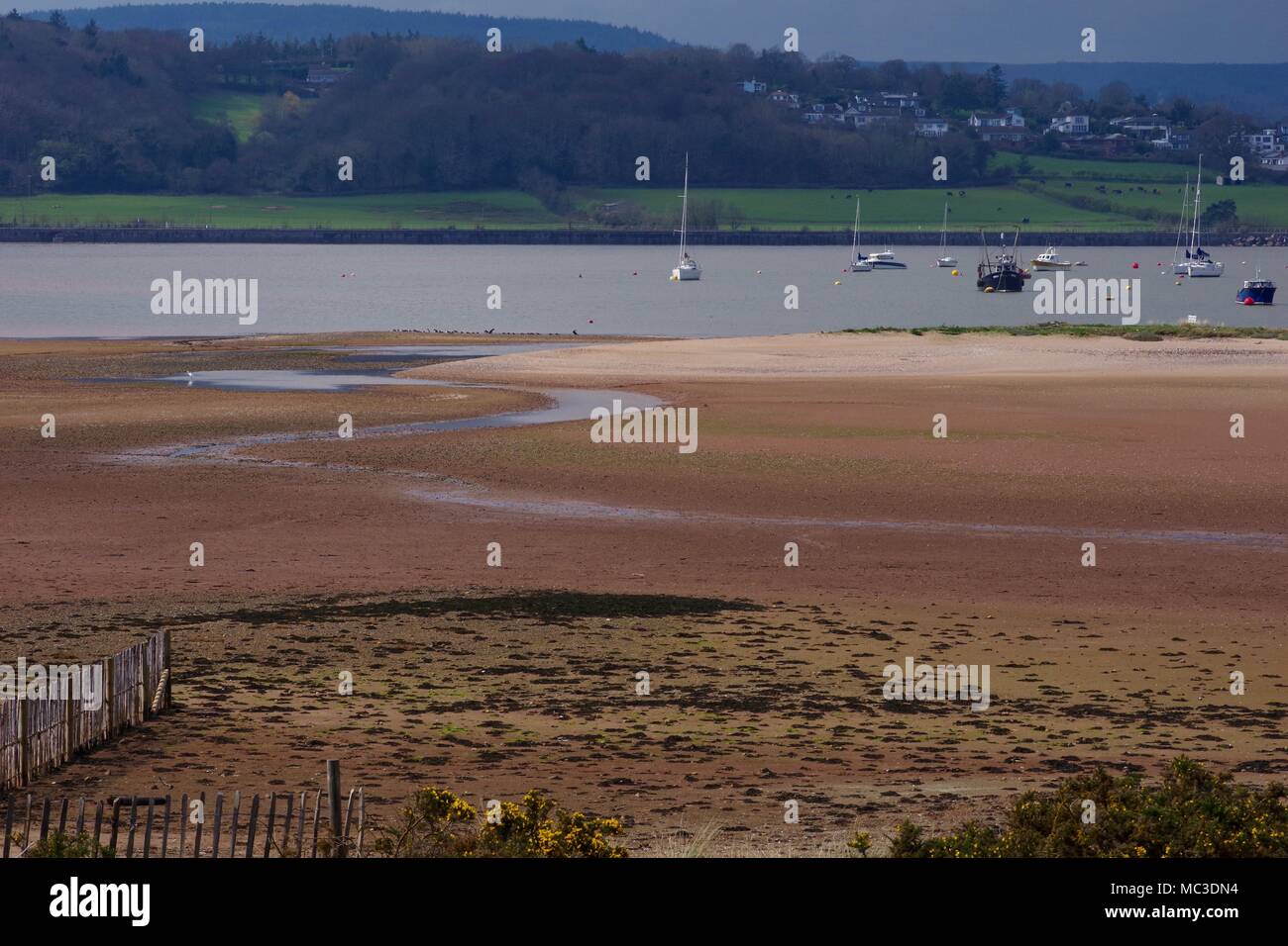 Farmland and riverine woodland hi-res stock photography and images - Alamy